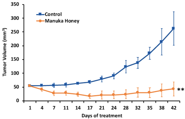 Manuka Honey Effective Against Breast Cancer in Mice