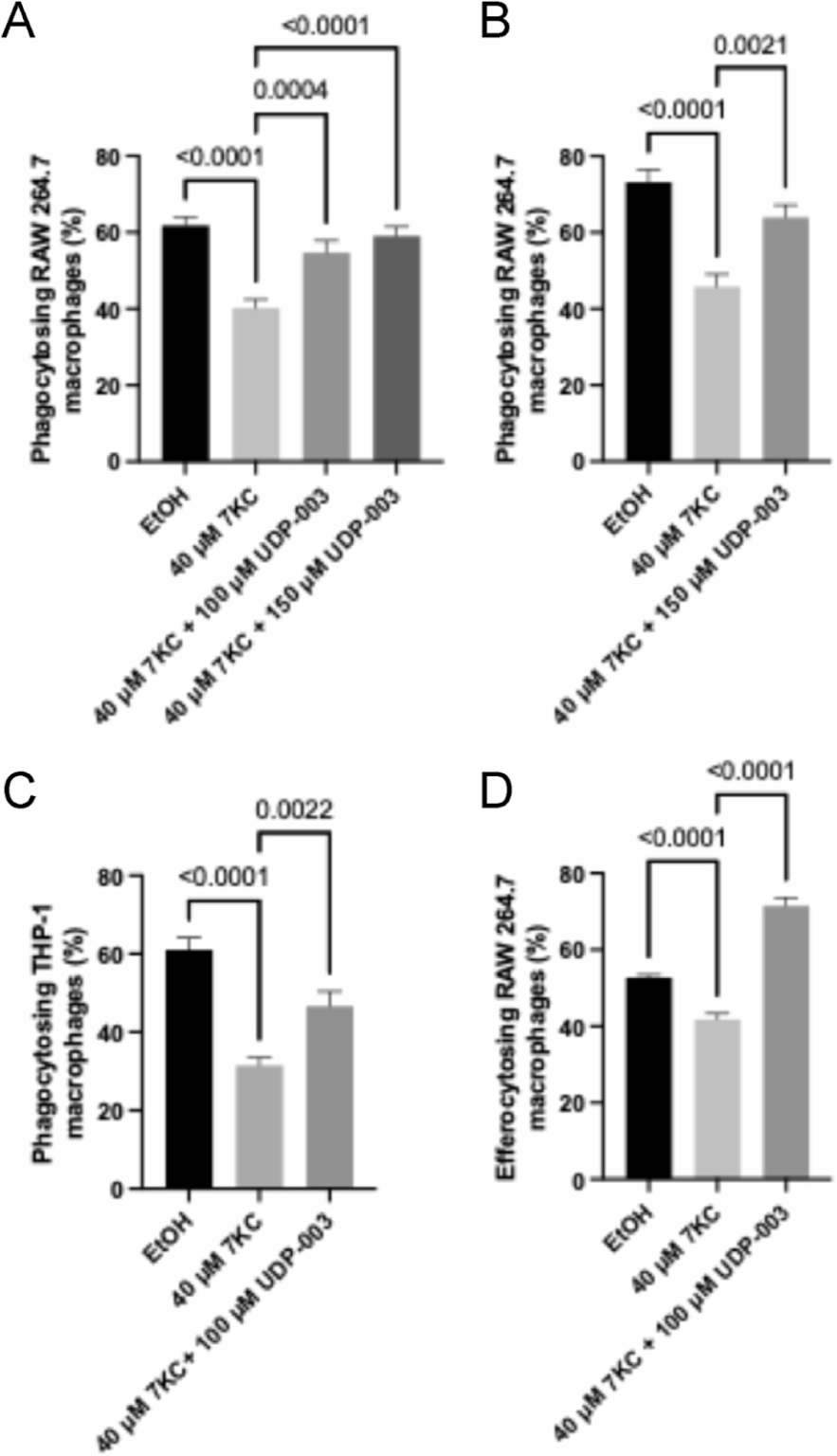 Rejuvenating Atherosclerotic Foam Cells